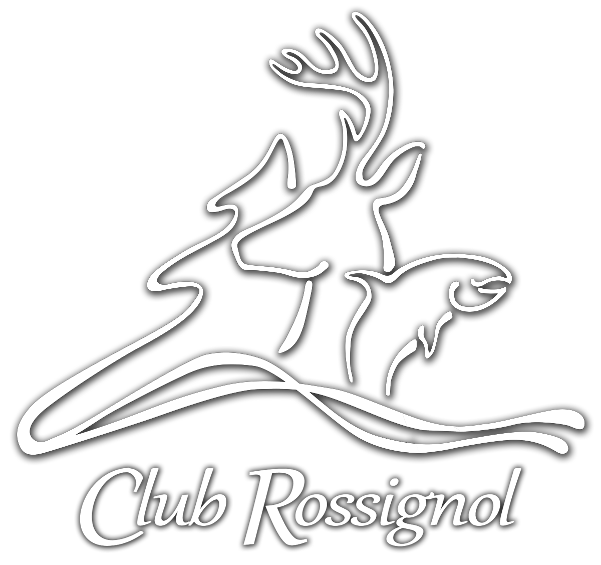 COVID-19 | Club Rossignol